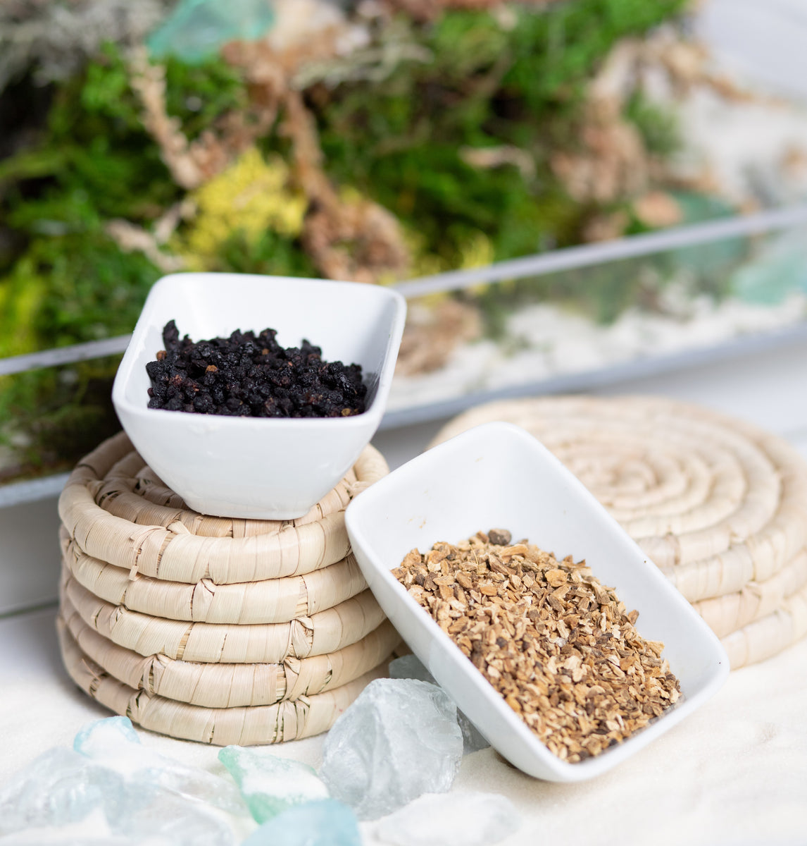 Serenity Supplements – serenity seamoss